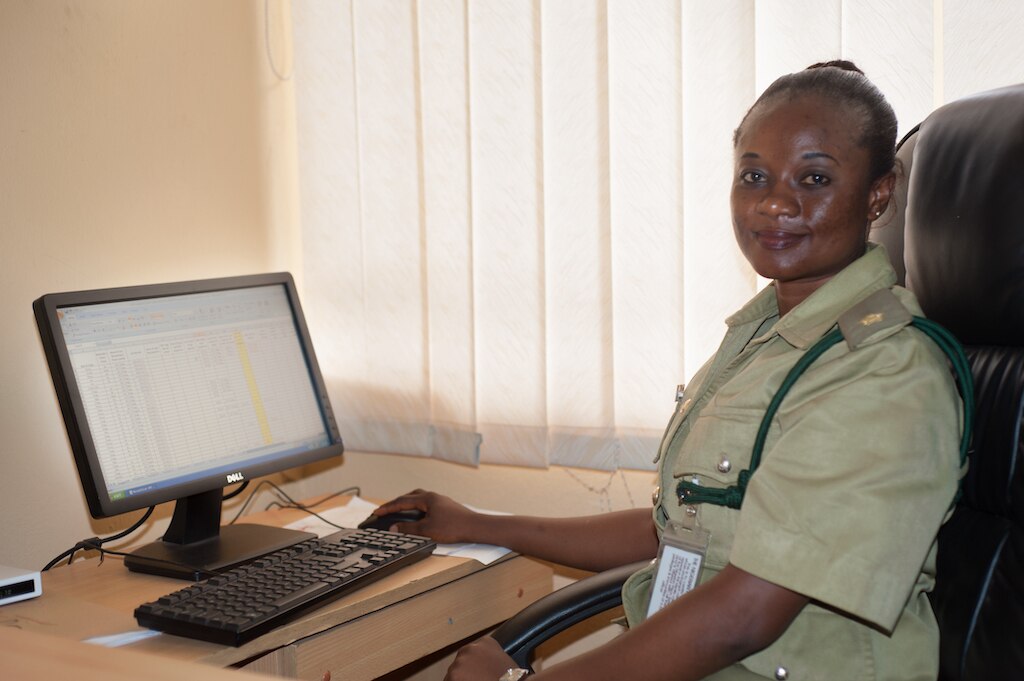 Structures established for the effective implementation of the Nigerian ...